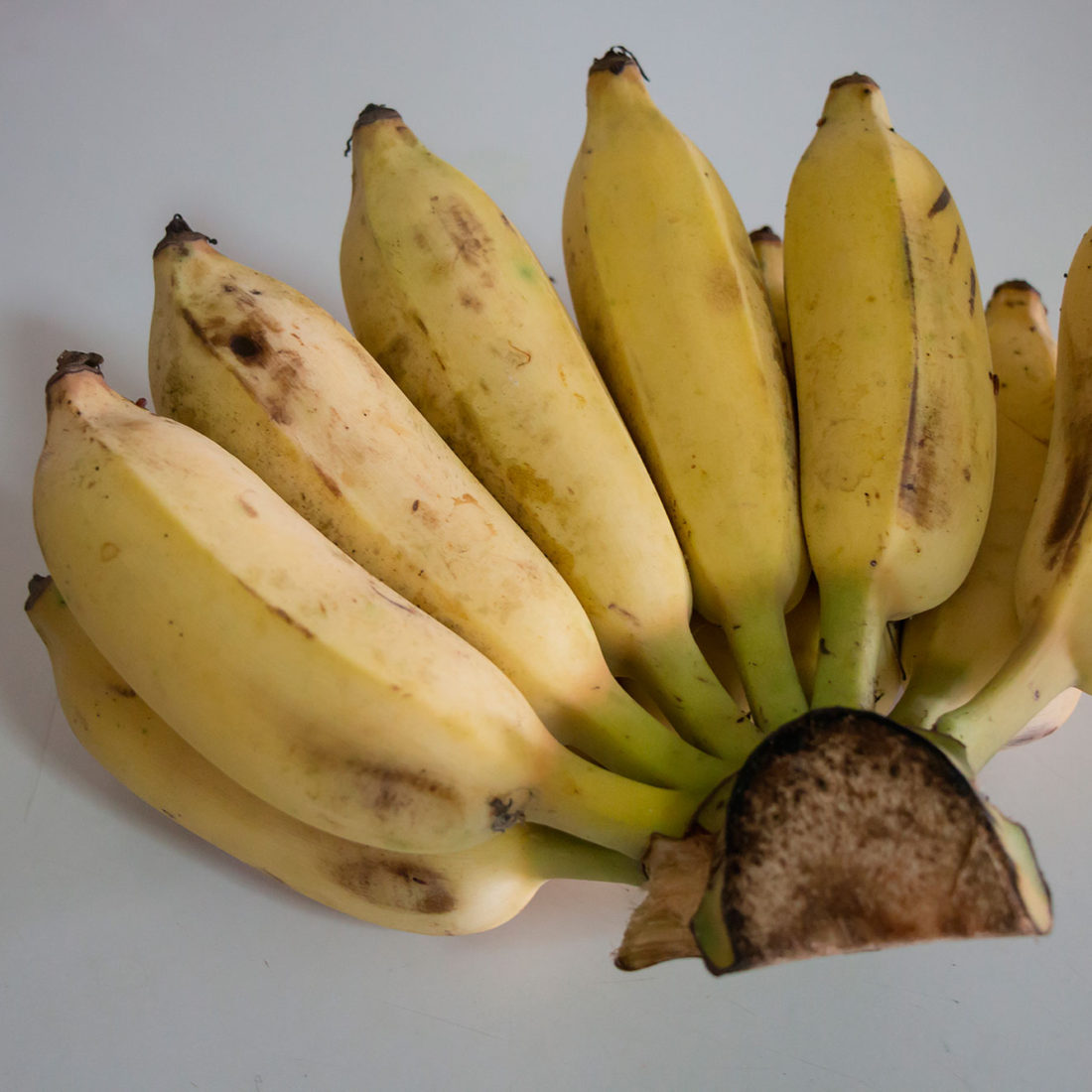 Tienda - HandOnFruits